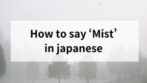 How to Say ‘Mist’ in Japanese: speak like local | AuthenticJapaneseWords